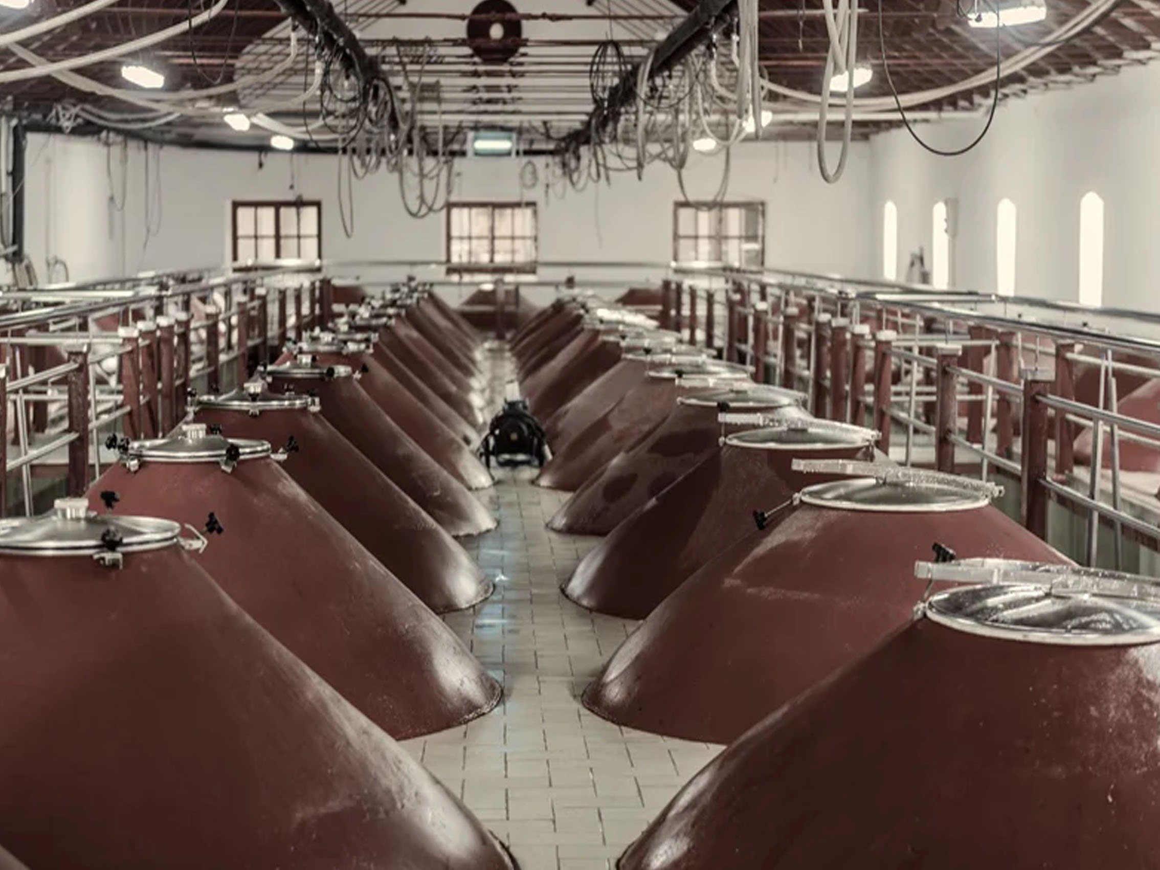 Rượu Cocktail Fogoso Rosa (Quà Tết 2025) - Giá chỉ 804.000₫